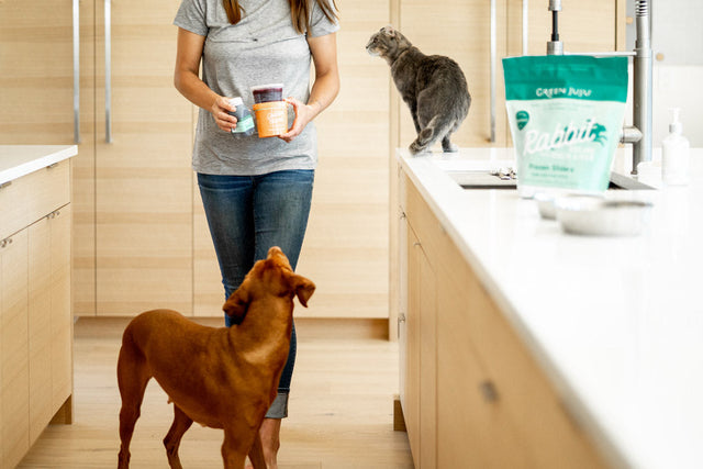 Freeze-Dried & Frozen Raw Dog and Cat Food - Whole Food Nutrition ...