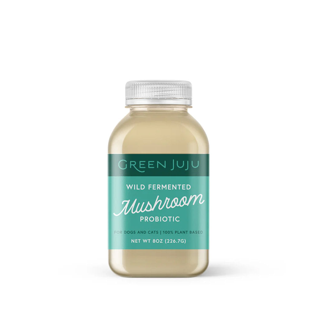 Wild Fermented Mushroom Probiotic – Green Juju