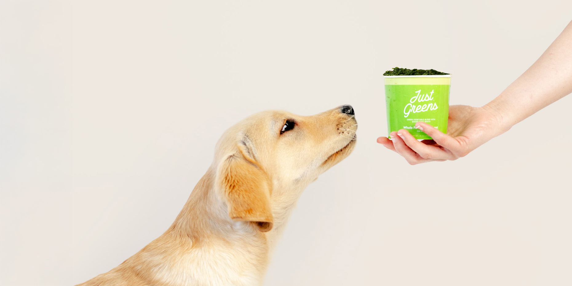 Green Juju | Whole Food Supplements for Dogs | Feed Fresh